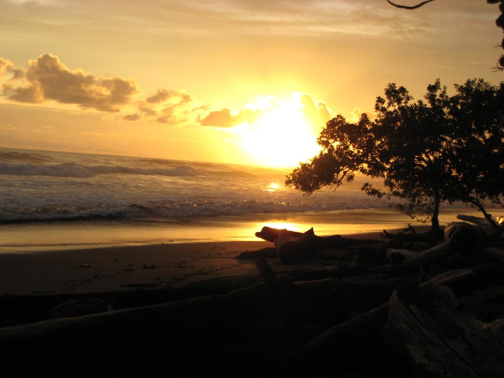 Costa Rica requiere riqueza en sus costas - Delfino.cr