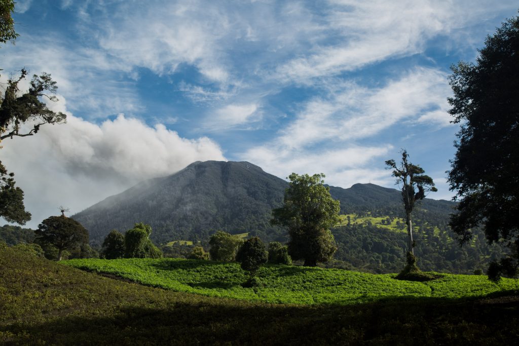 Parque Nacional Volcán Turrialba protagoniza nueva emisión postal en ...