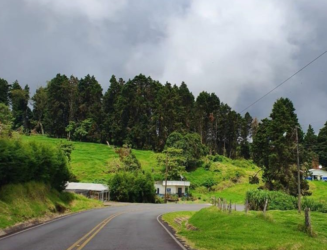 La importancia de la atracción de inversiones en las zonas rurales ...
