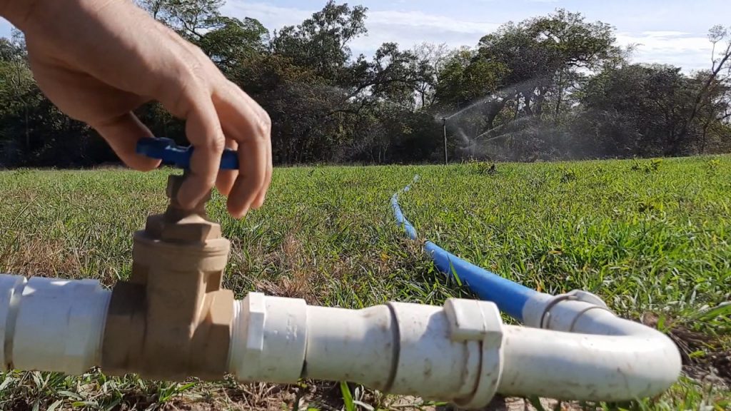Más de 2500 personas y organizaciones piden prohibir agroquímico ...