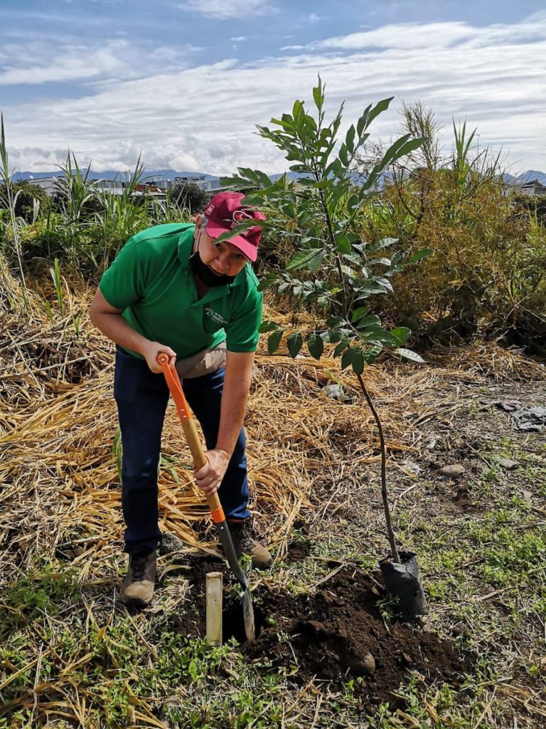 Comunidad de La Uruca planta árboles para reactivar sus zonas verdes ...