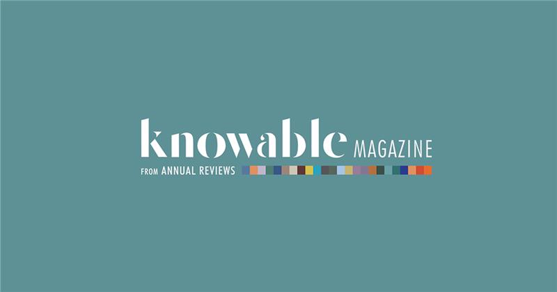 Revista científica Knowable lanzó versión en español y tendrá a una ...