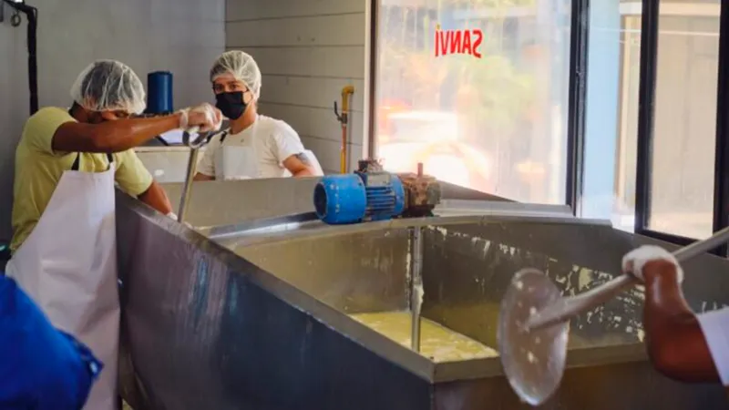 INS, INA y Coocique brindarán capacitaciones a pymes en Zona Norte - Delfino.cr