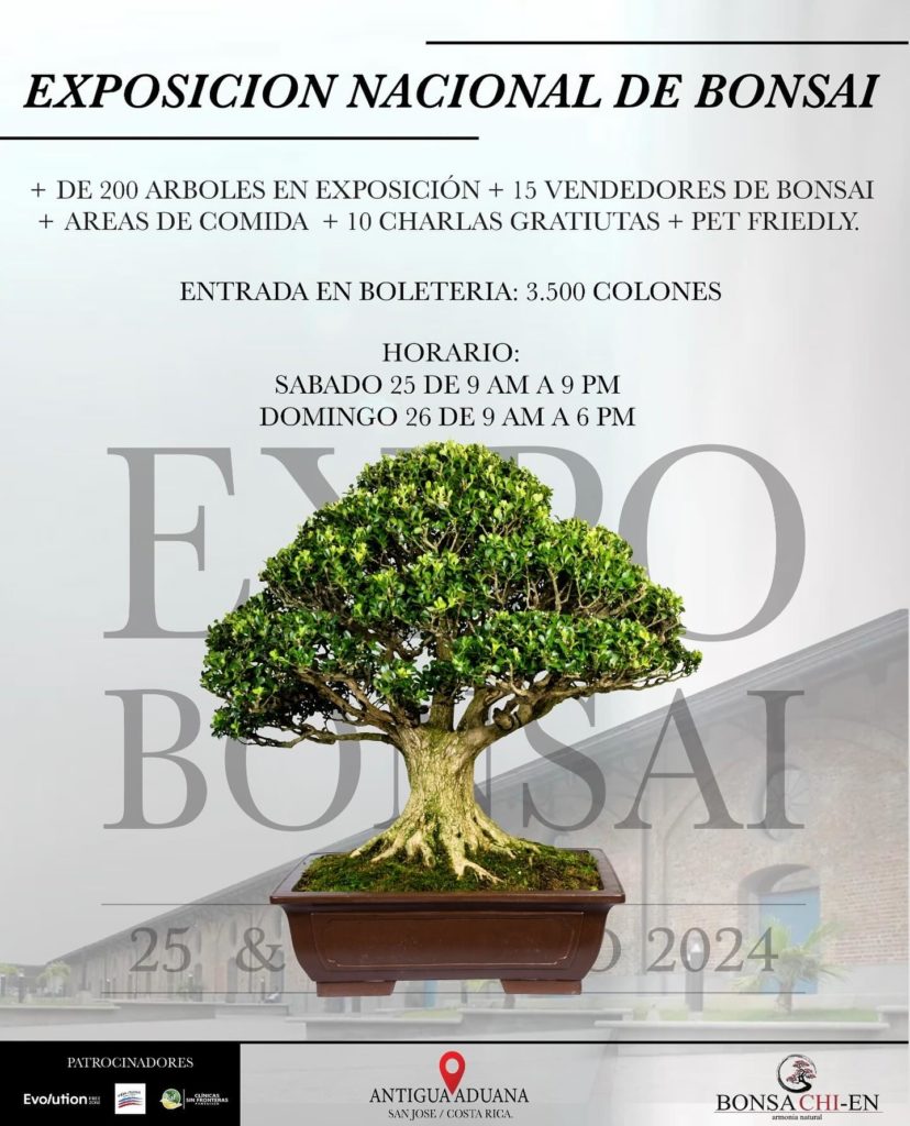 Este fin de semana: Expo Bonsai 2024 - Delfino.cr