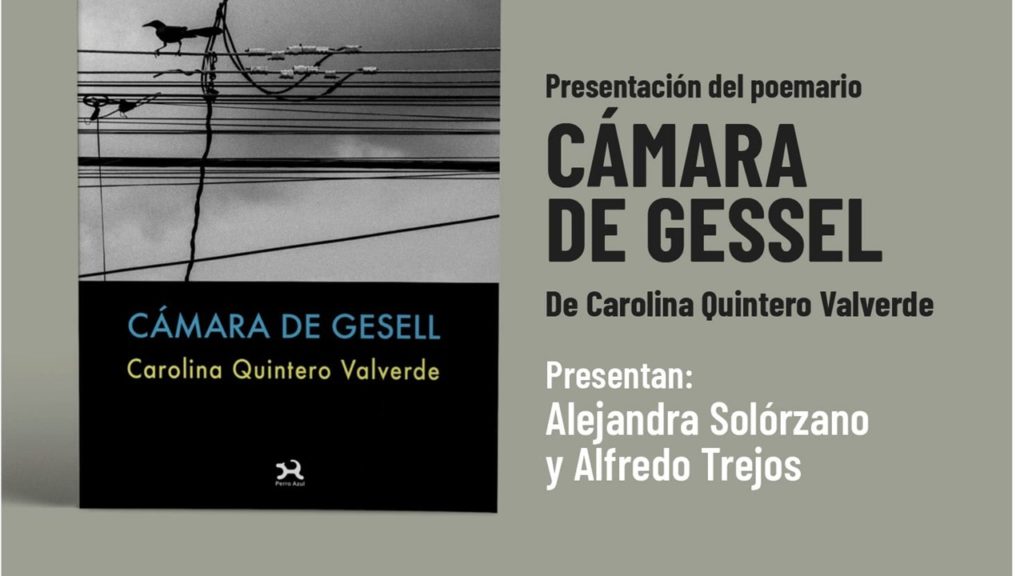 Carolina Quintero presenta su poemario “Cámara de Gesell” este 19 de julio