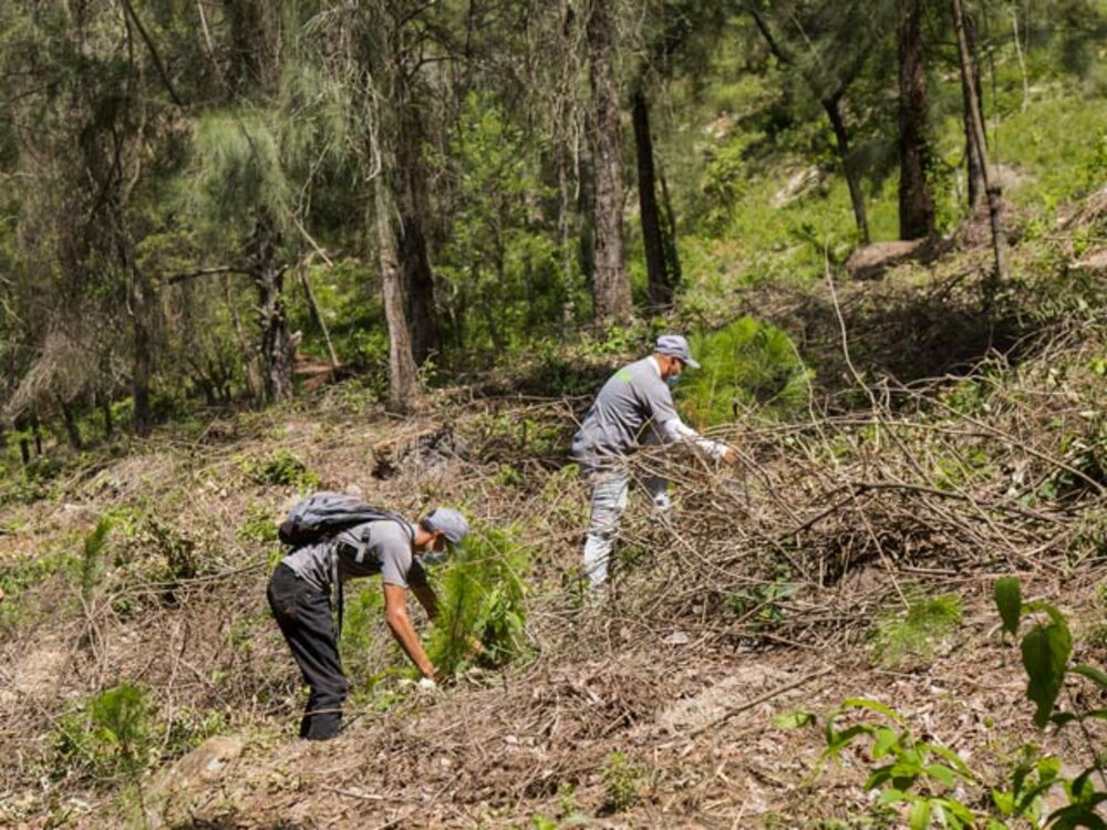 BCIE recibe primer desembolso del Fondo Verde del Clima para el ...