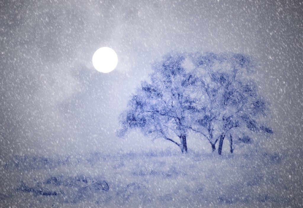 El invierno se acerca