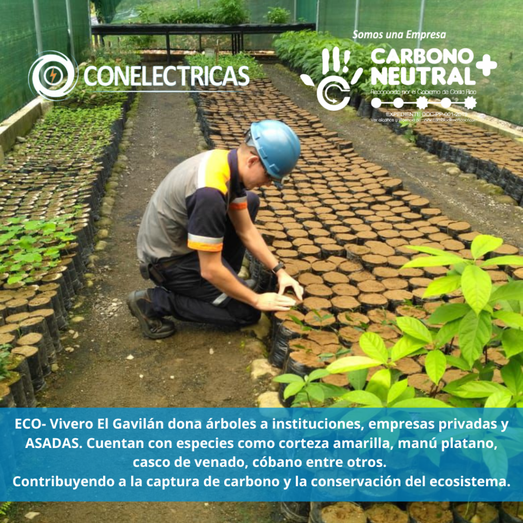 CONELECTRICAS R.L. reafirma su liderazgo sostenible al obtener nuevamente la certificación ...