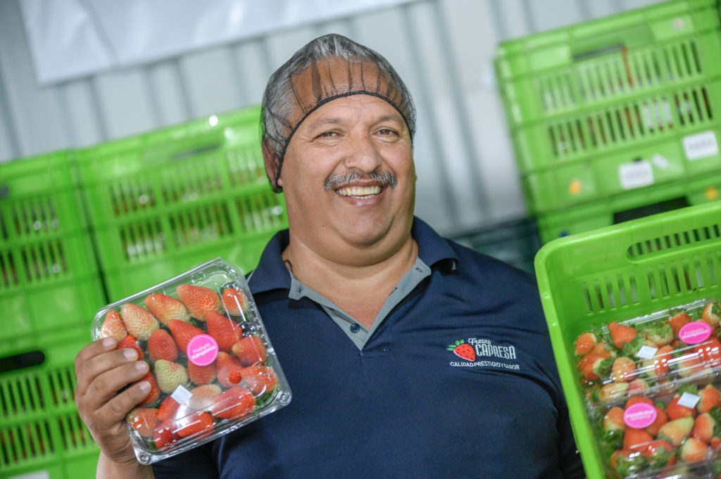 Tierra Fértil: el programa con el que Walmart impulsa a productores ...